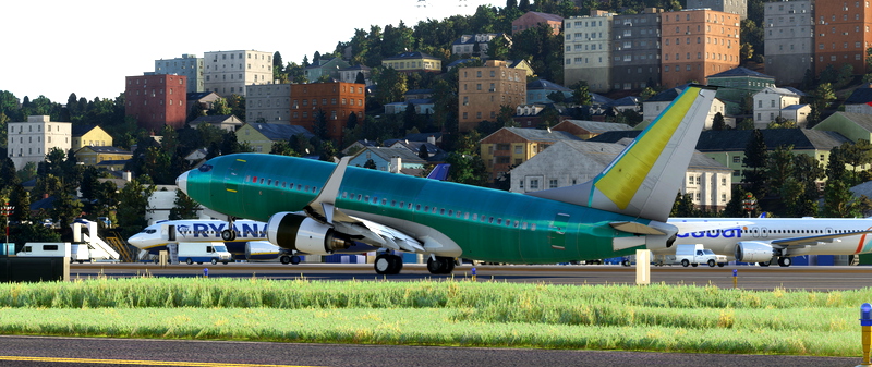 737-700 Factory Rollout livery SSW for Microsoft Flight Simulator | MSFS