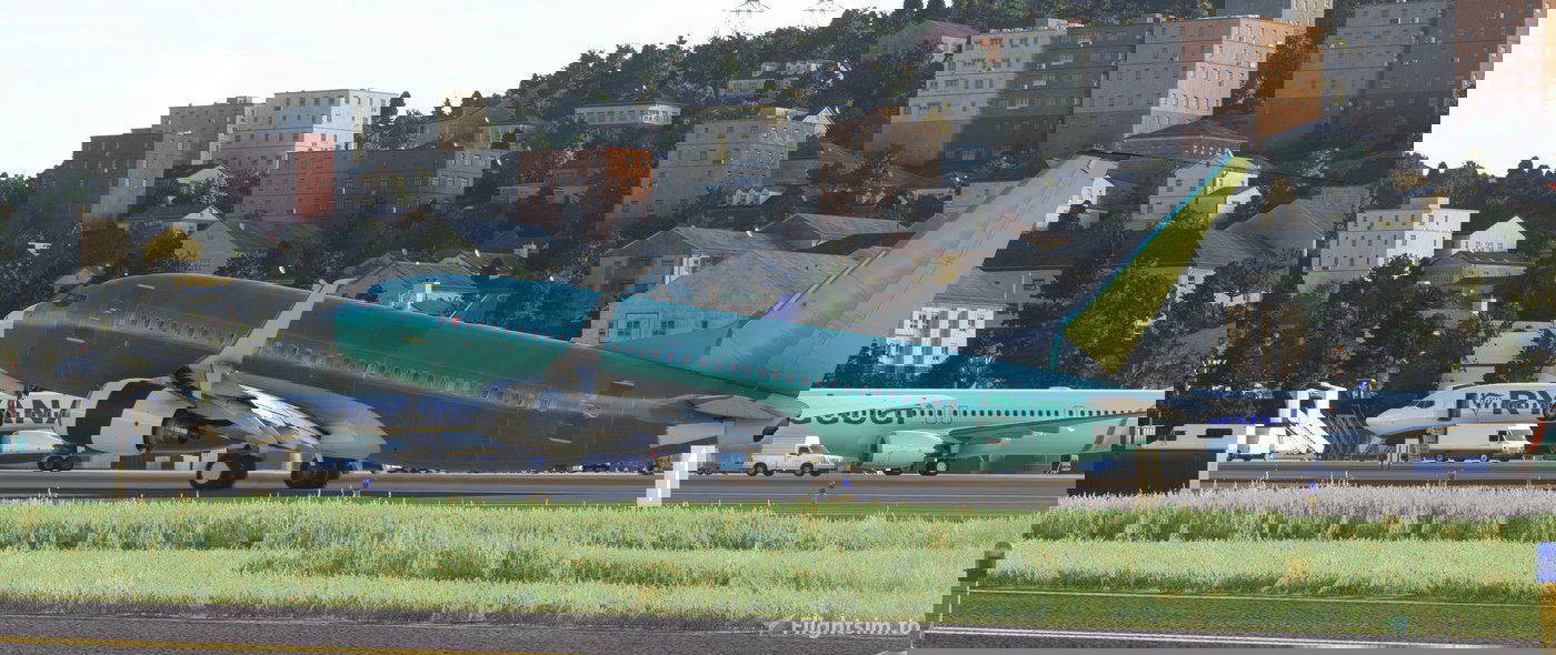 737-700 Factory Rollout livery SSW for Microsoft Flight Simulator | MSFS