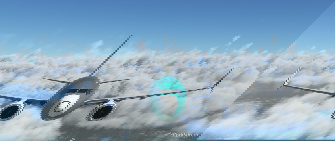 737-700 Factory Rollout livery SSW for Microsoft Flight Simulator | MSFS