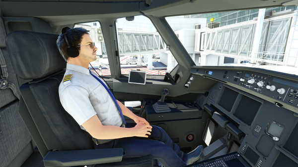 PMDG 737 Family - Pilot & CoPilot Avatar for Microsoft Flight Simulator ...