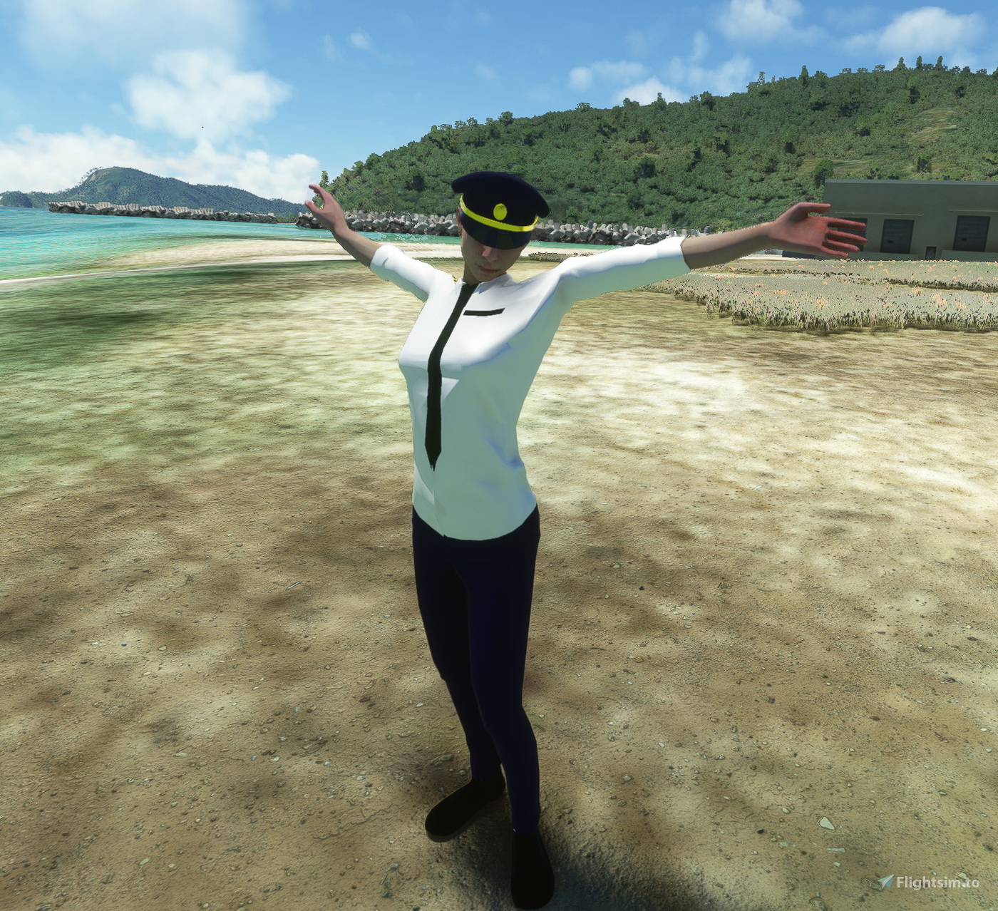 Animated Human 3D Models Library for Microsoft Flight Simulator | MSFS