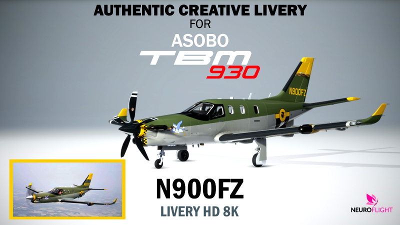 Daher TBM 930 Liveries for Microsoft Flight Simulator | MSFS
