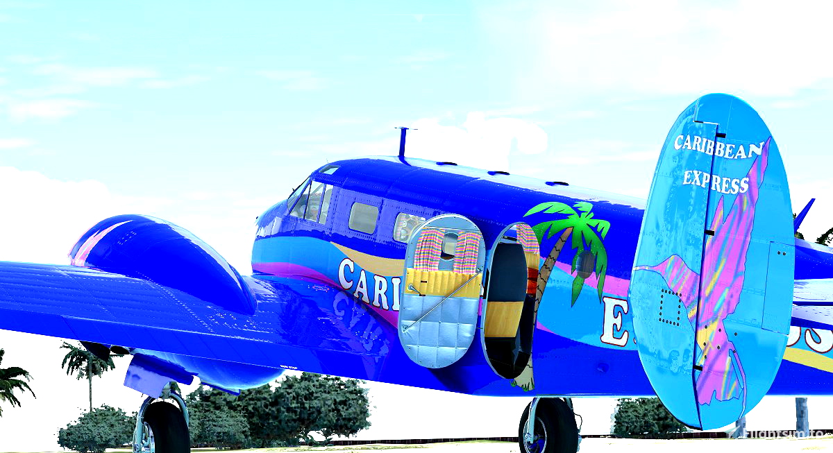 Beechcraft Model 18 Liveries pour Microsoft Flight Simulator | MSFS ...