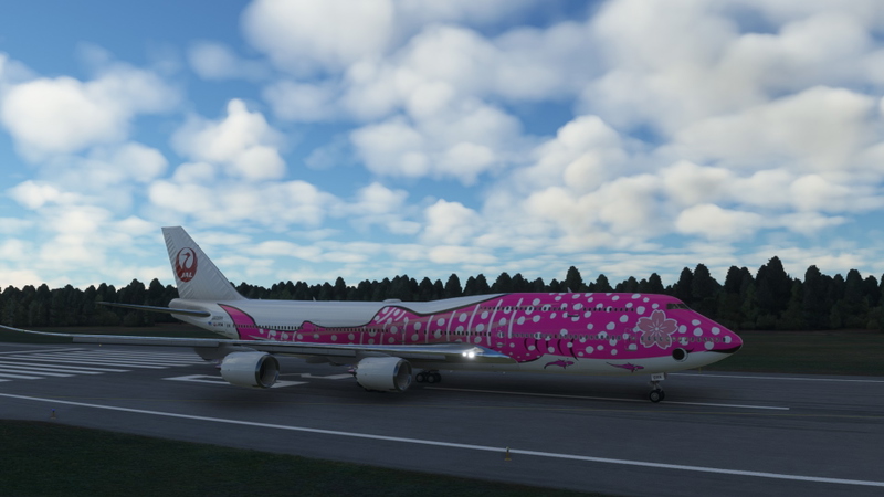 Salty Simulations B747-8 Liveries for Microsoft Flight Simulator | MSFS