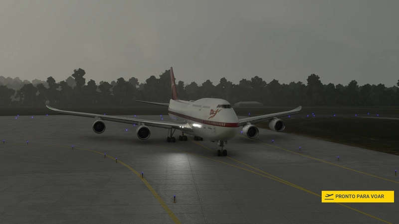 Salty Simulations B747-8 Liveries for Microsoft Flight Simulator | MSFS