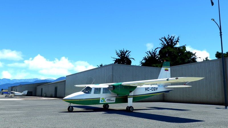 BN2 Islander Liveries for Microsoft Flight Simulator | MSFS | Flightsim.to