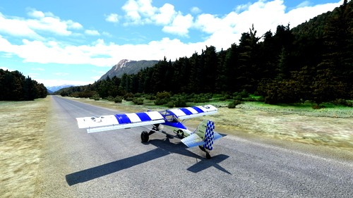 Crazy Horse » Microsoft Flight Simulator