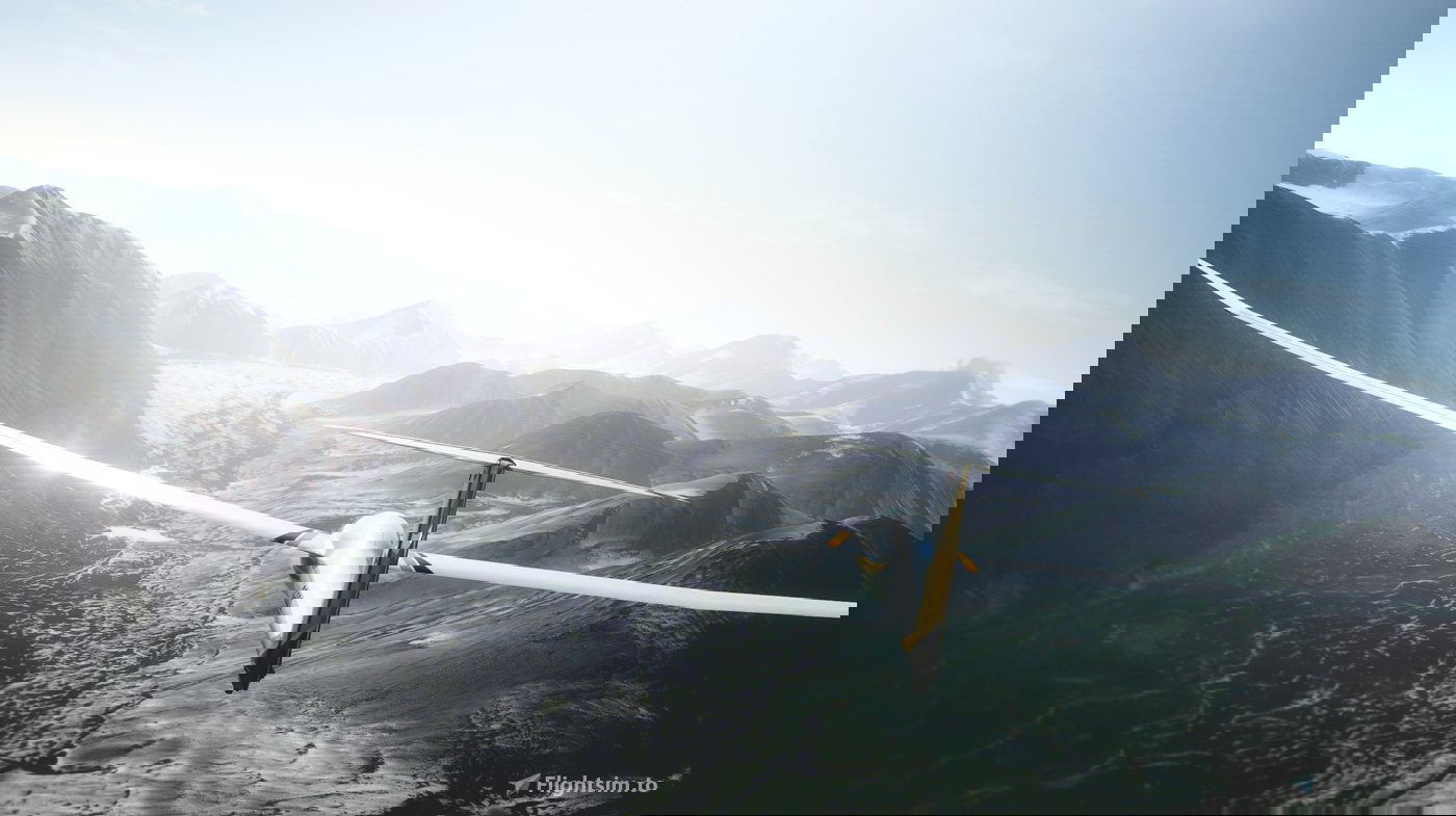 Discus-2c: Standard for Microsoft Flight Simulator | MSFS