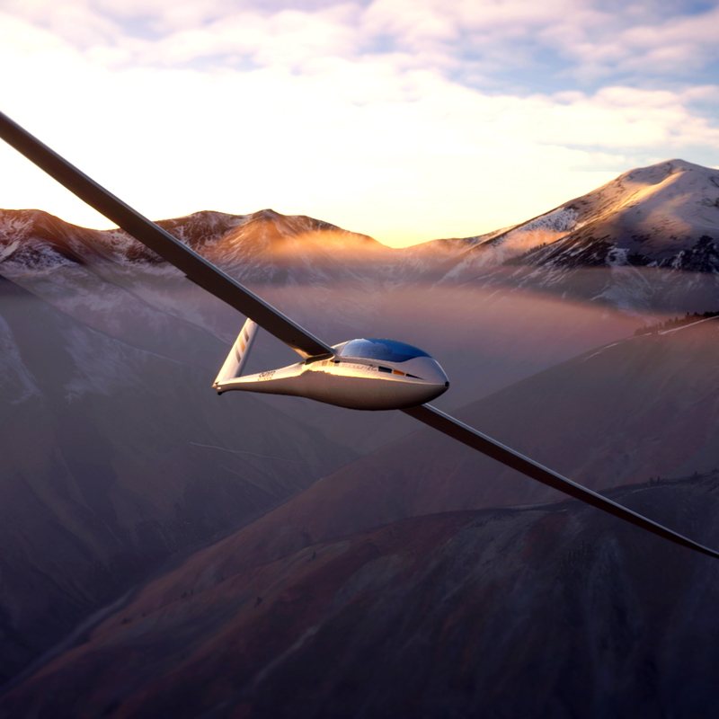 Discus-2c: Standard for Microsoft Flight Simulator | MSFS