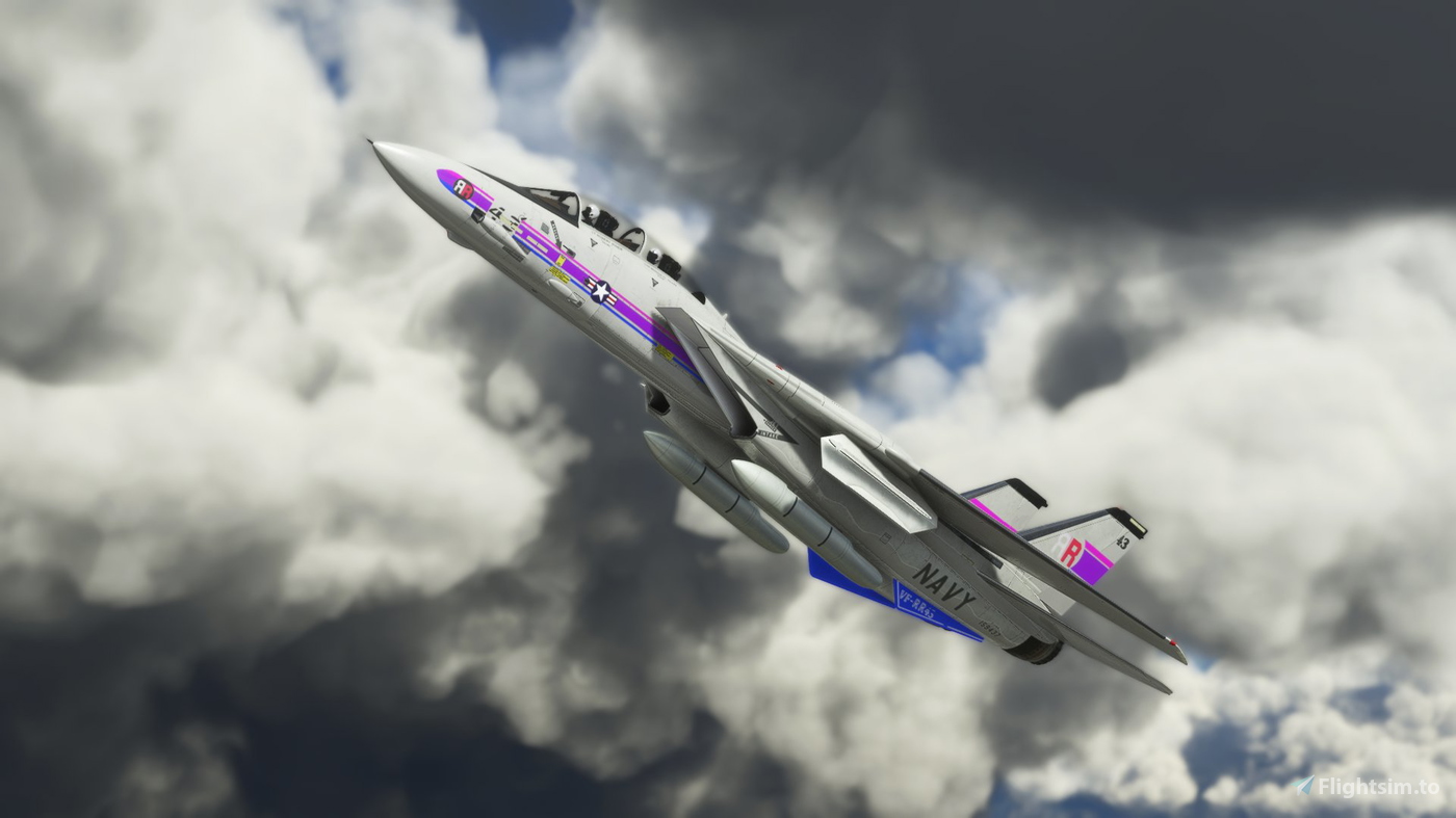 F-14A VF-RR43 (Fictional) for Microsoft Flight Simulator | MSFS