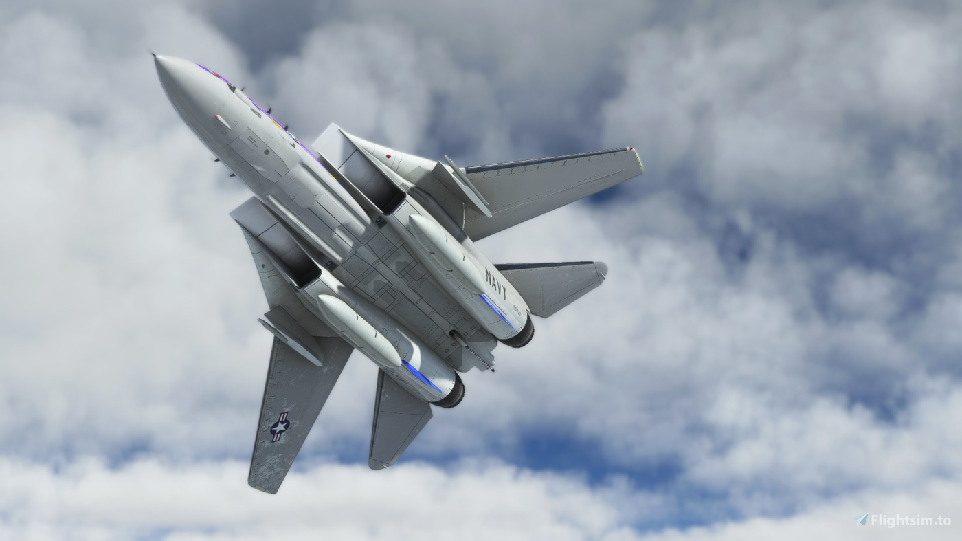 F-14A VF-RR43 (Fictional) for Microsoft Flight Simulator | MSFS