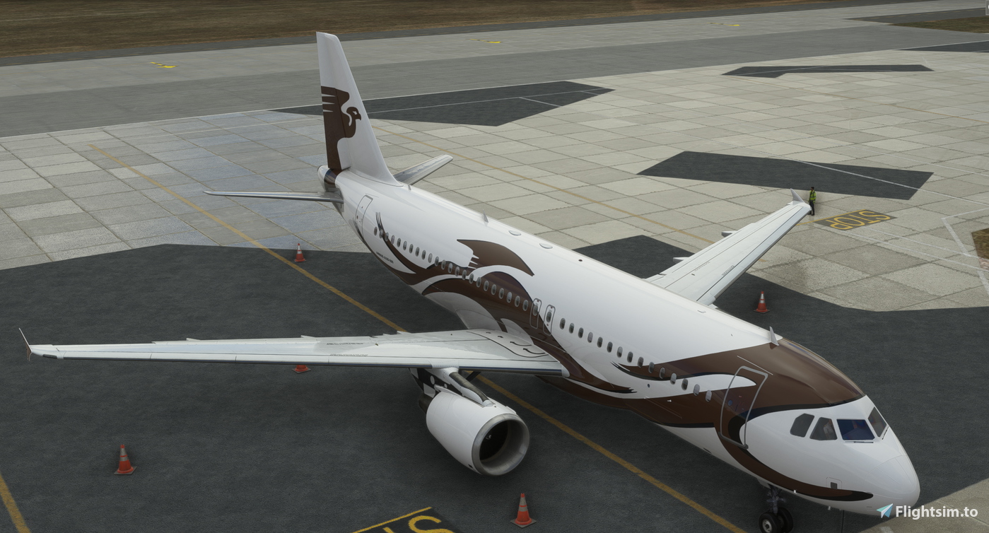 FENIX A320 BUSINESS PRIVATE JET for Microsoft Flight Simulator | MSFS