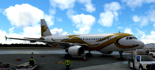 FENIX A320 BUSINESS PRIVATE JET » Microsoft Flight Simulator