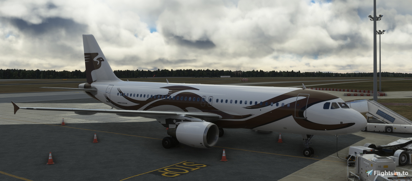 FENIX A320 BUSINESS PRIVATE JET for Microsoft Flight Simulator | MSFS