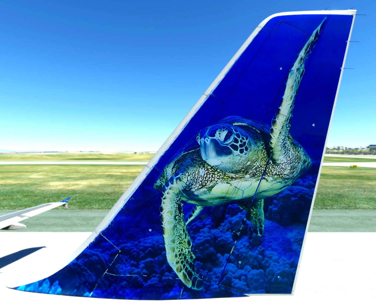 Fenix Simulations A320 Liveries for Microsoft Flight Simulator | MSFS ...