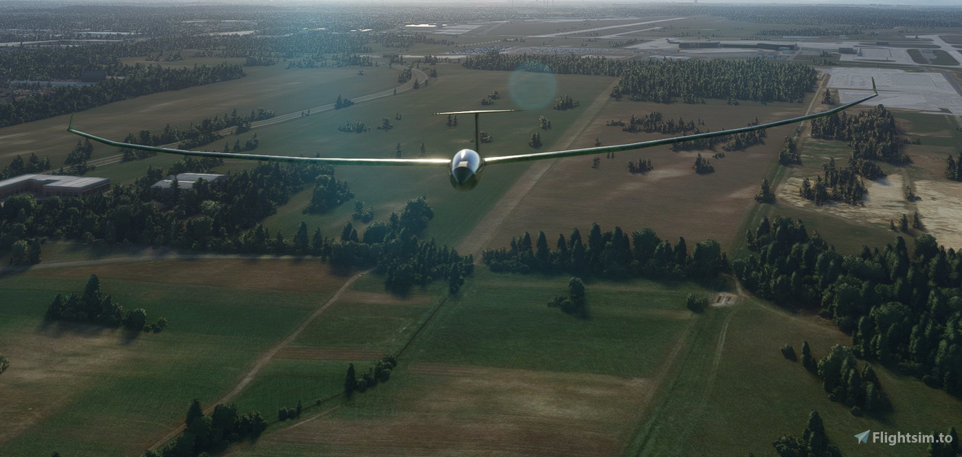 Forest Sprite for Discus 2C freeware pour Microsoft Flight Simulator | MSFS