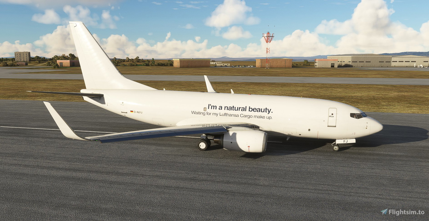 Lufthansa Cargo (D-ALFJ) PMDG 737-700BDSF - 8K for Microsoft Flight ...