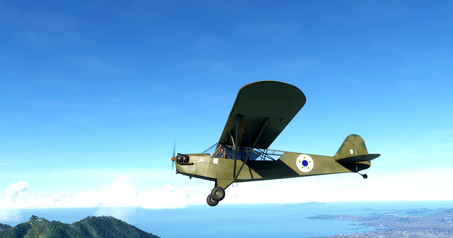 Piper L-4 Liveries for Microsoft Flight Simulator | MSFS | Flightsim.to