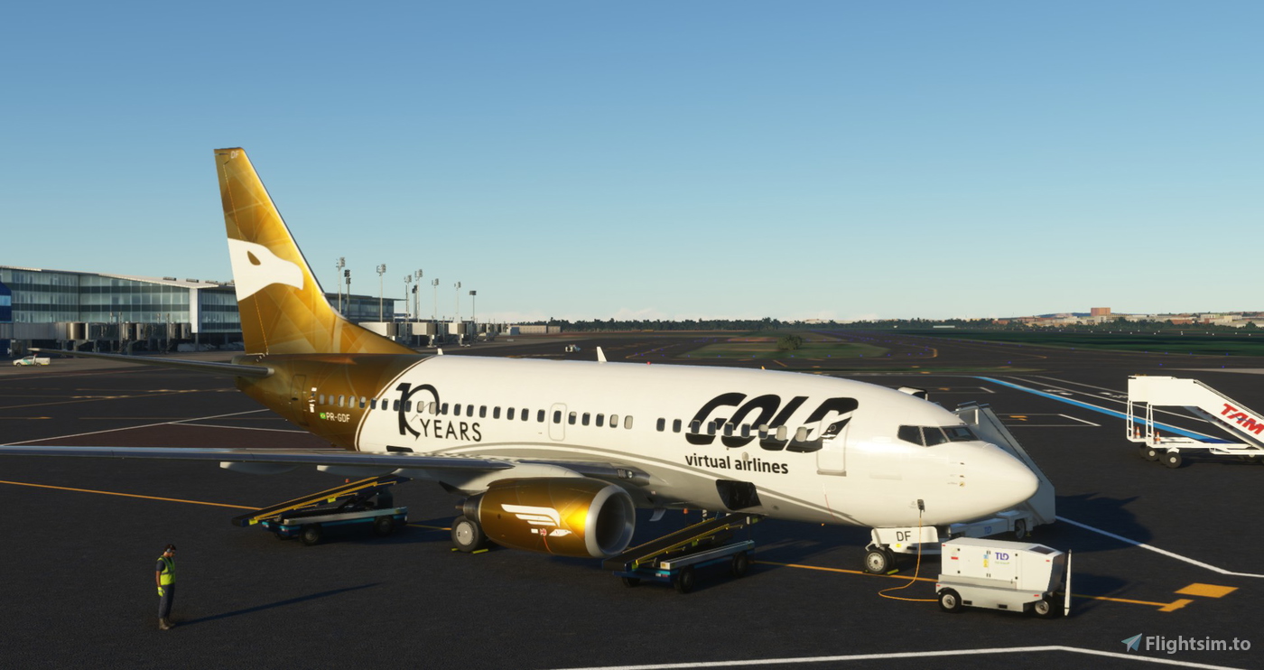 PMDG 737-600 - Gold Virtual Airlines - 10 Years for Microsoft Flight ...