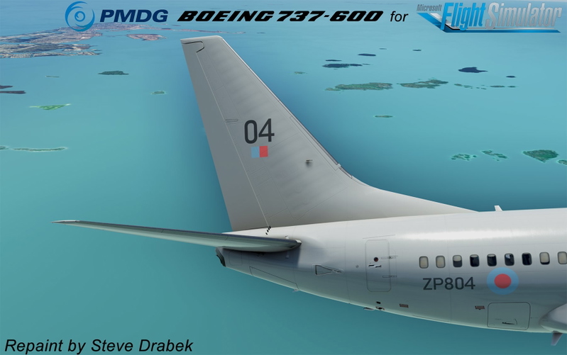 PMDG Boeing 737-600 Liveries for Microsoft Flight Simulator | MSFS