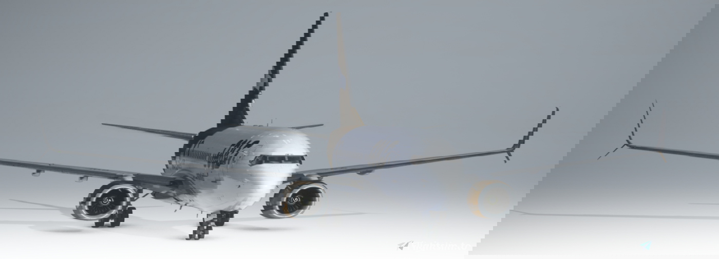 PMDG 737-700 - Gold Virtual Airlines 10 Years für Microsoft Flight ...