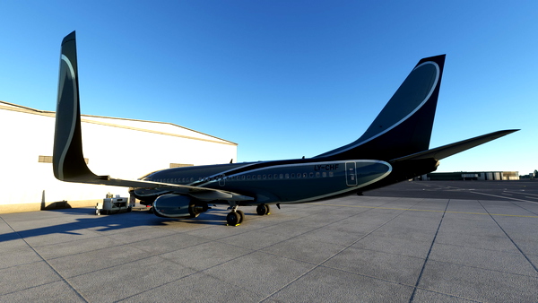 PMDG 737-700BBJ Cuddles (N1CD / Fictional) for Microsoft Flight ...