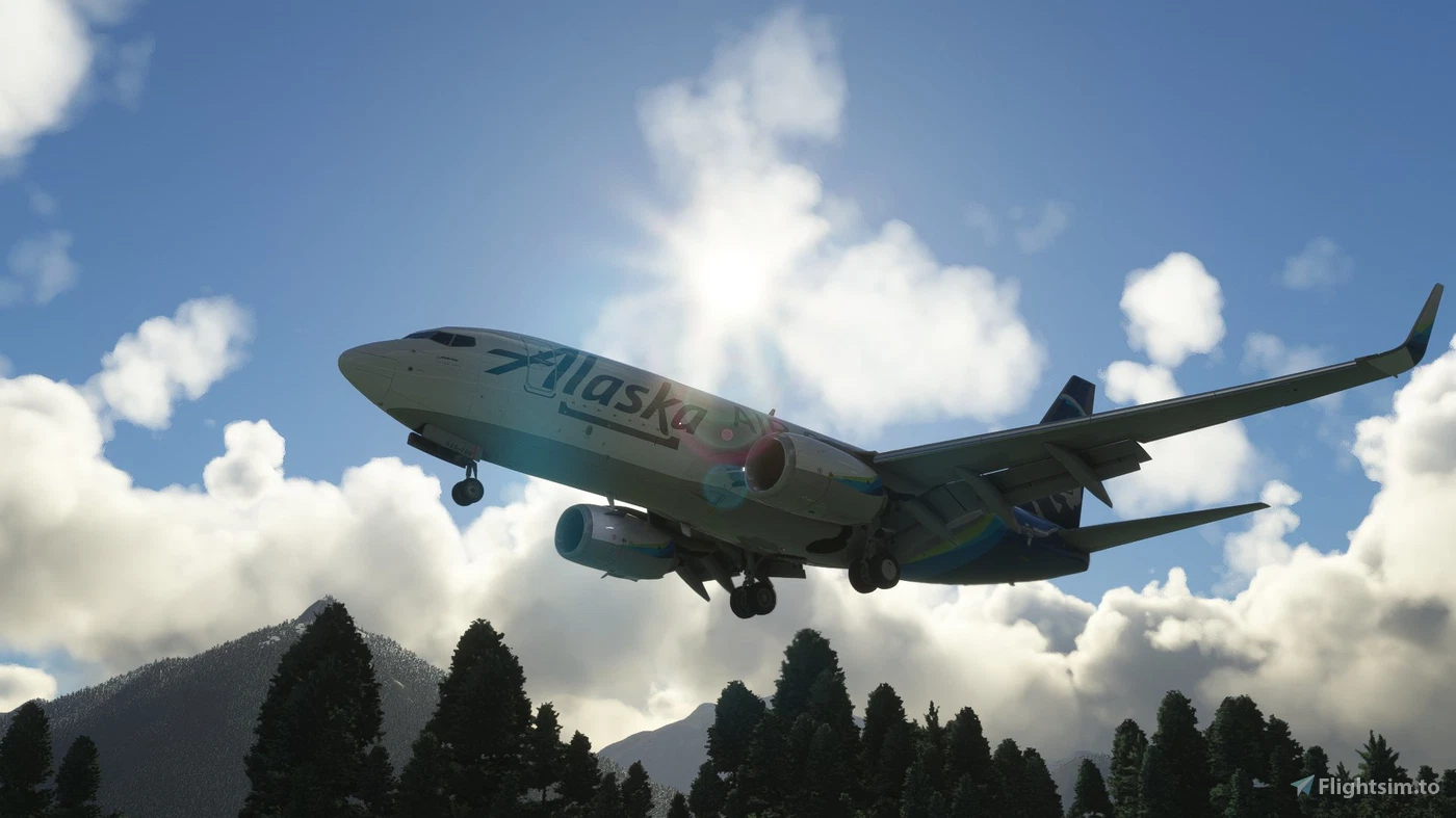 PMDG 737NG Summarised Normal Checklist for Microsoft Flight Simulator ...