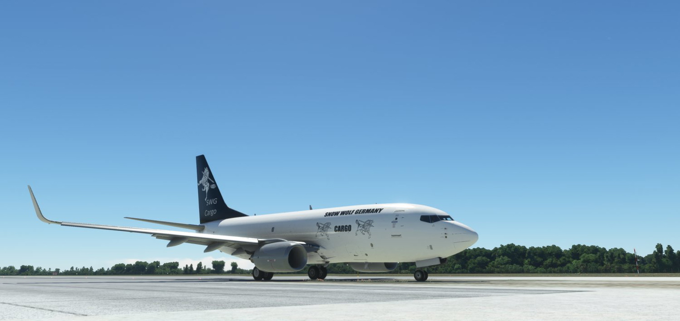 PMDG 737-700BDSF Snow Wolf Germany Cargo pour Microsoft Flight ...