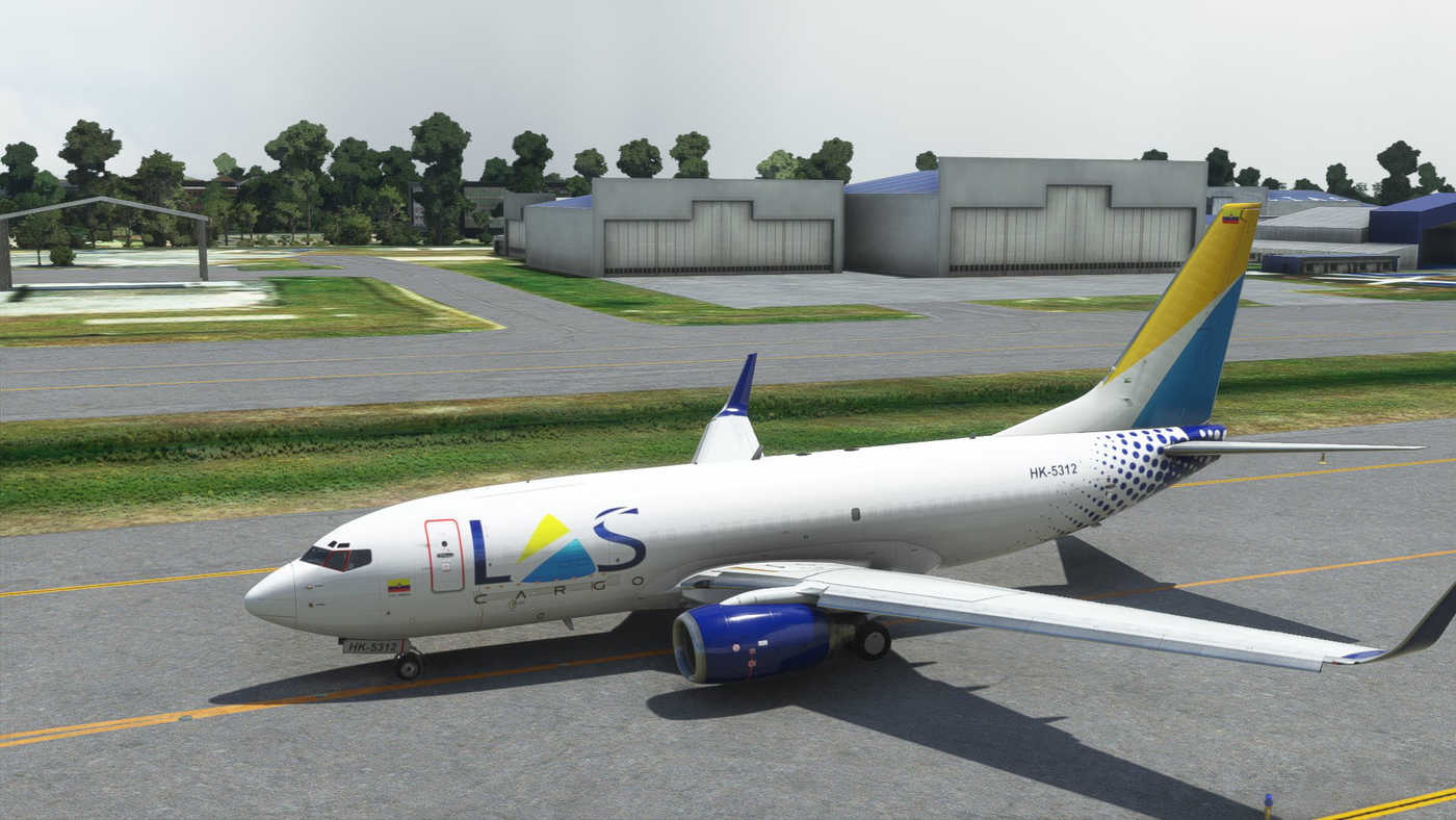 PMDG B737 BDSF LAS Cargo HK-5312 のために Microsoft Flight Simulator | MSFS