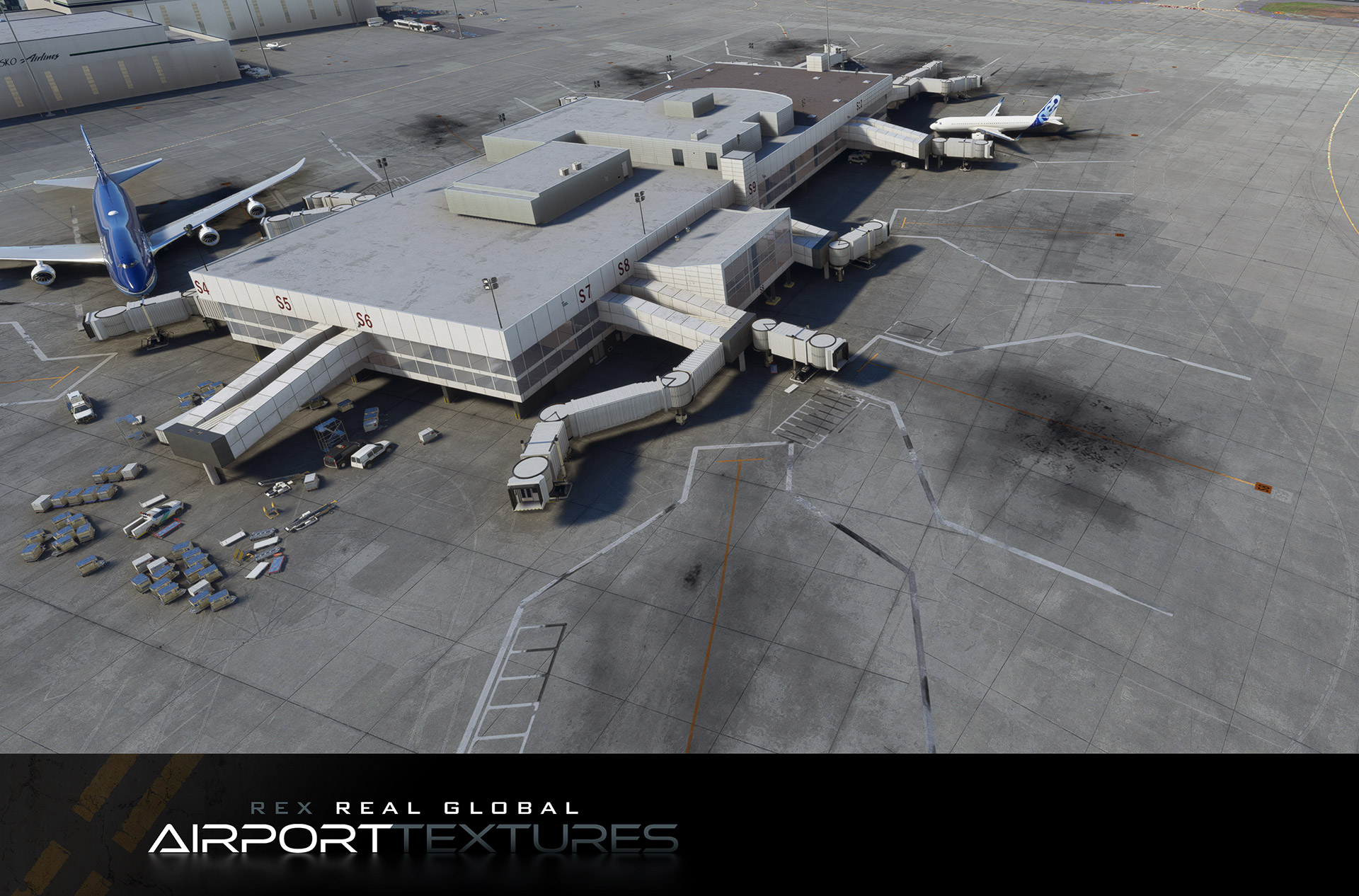 REX Simulations - REX Real Global Airport Textures for Microsoft Flight ...