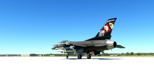 Shaw Air Force Base 77th Fighter Squadron "Gamblers" » Microsoft Flight ...