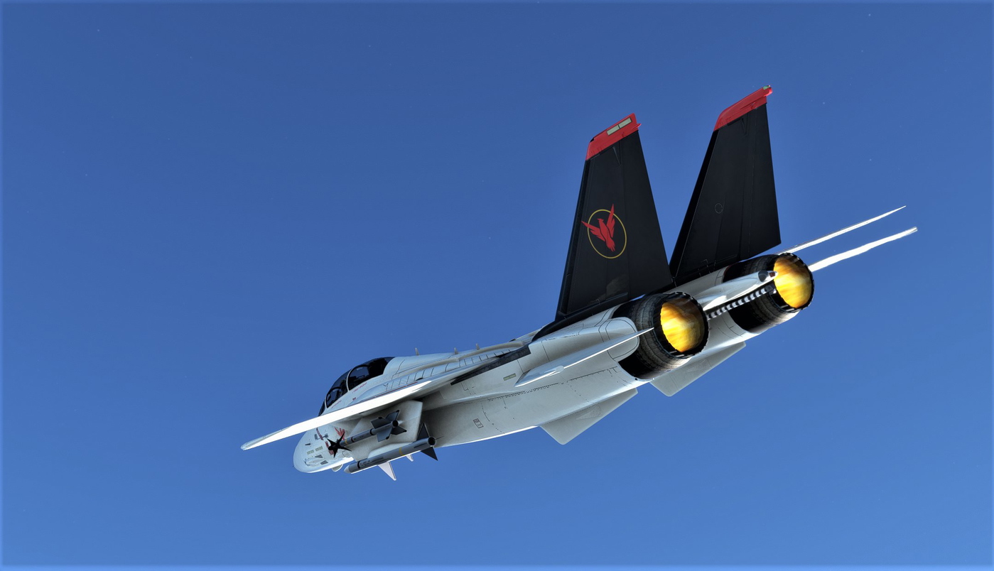 TOP GUN: Maverick Rogue F-14A (Skin for DC Design's F-14) for Microsoft ...