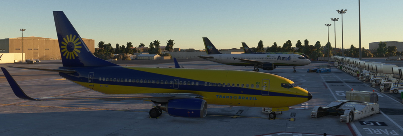 TRANSBRASIL COLORS OLD for Microsoft Flight Simulator | MSFS