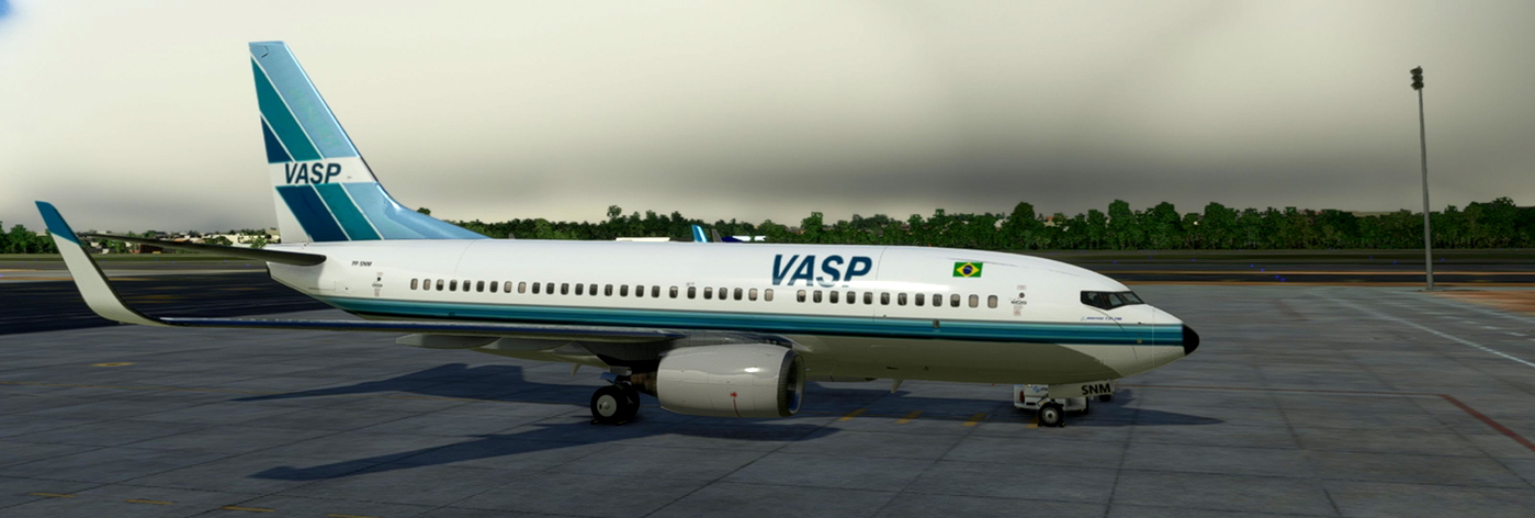 VASP OLD » Microsoft Flight Simulator