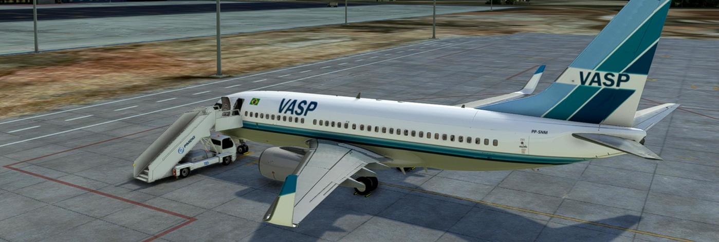 VASP OLD » Microsoft Flight Simulator