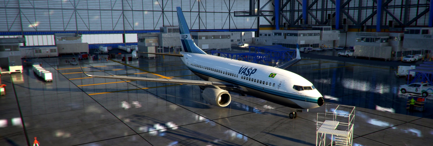 VASP OLD » Microsoft Flight Simulator