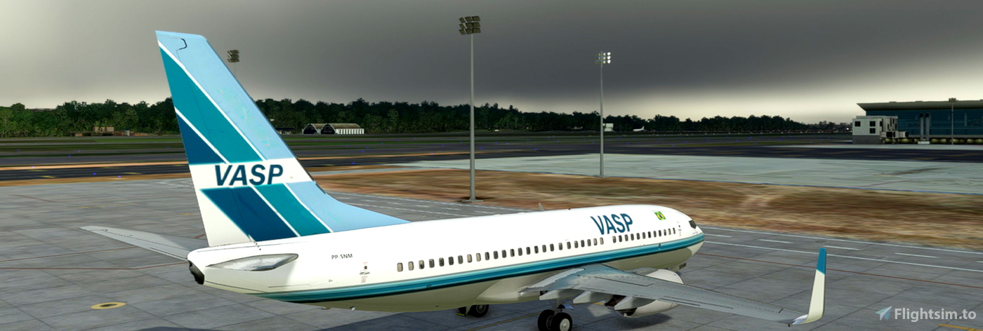 VASP OLD » Microsoft Flight Simulator