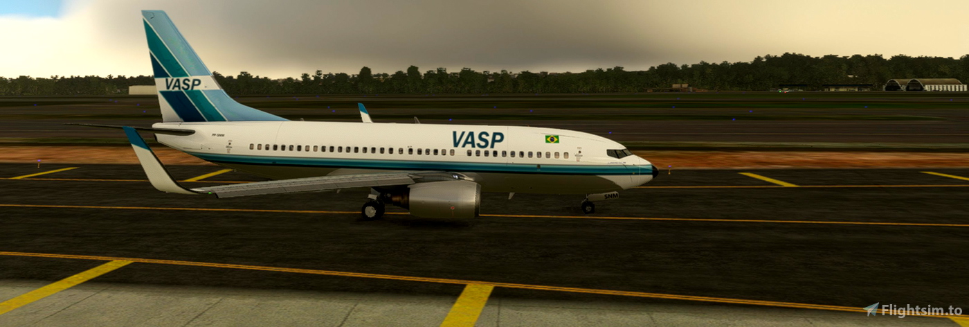 VASP OLD » Microsoft Flight Simulator