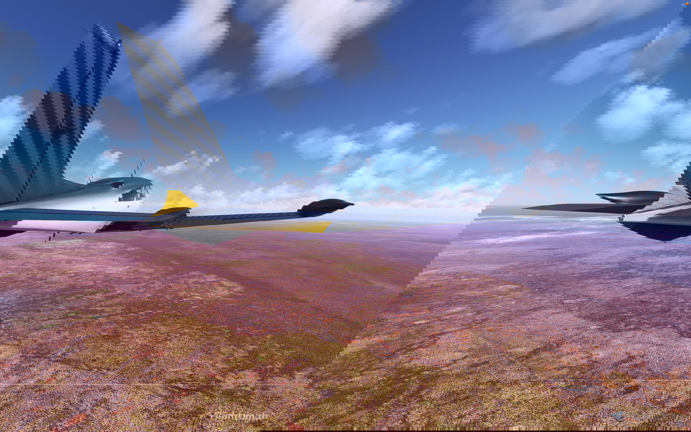 310R Yellow and Blue Stripes (Two Variants), Custom Tail Number pour ...