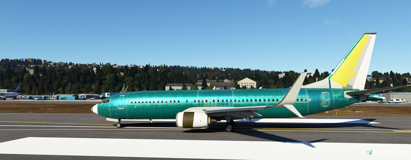 737-800 Factory Roll out for Microsoft Flight Simulator | MSFS