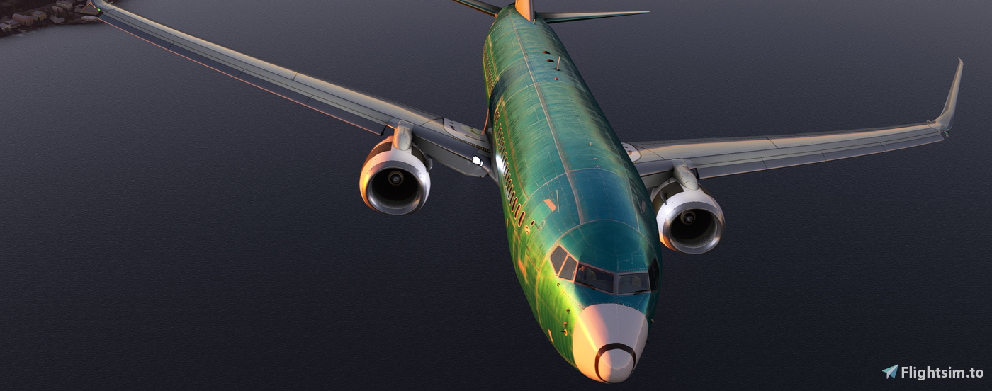 737-800 Factory Roll out for Microsoft Flight Simulator | MSFS