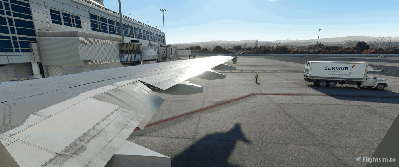 A310 Custom Views [Wing/Engine] for Microsoft Flight Simulator | MSFS