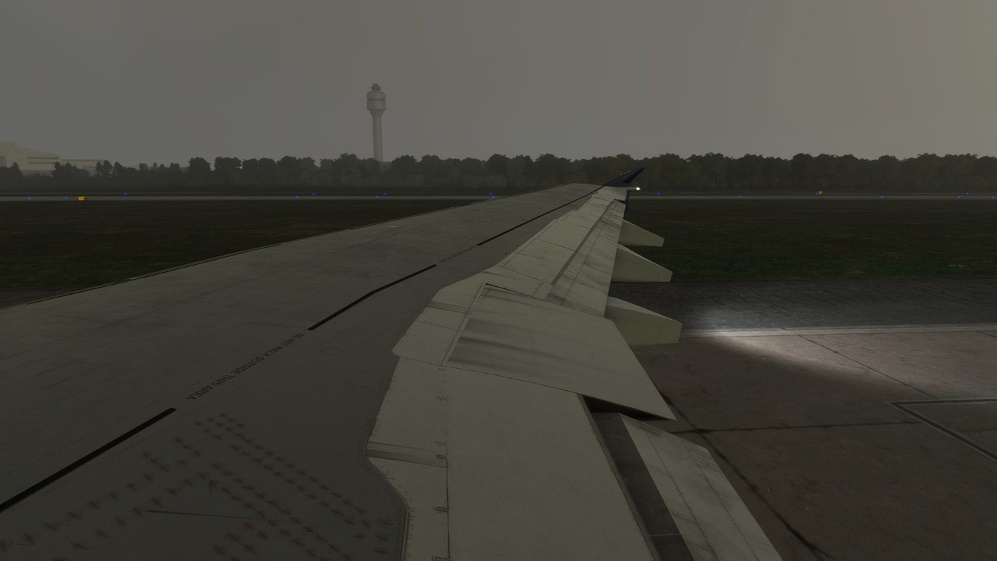 A310 Wing Views for Microsoft Flight Simulator | MSFS