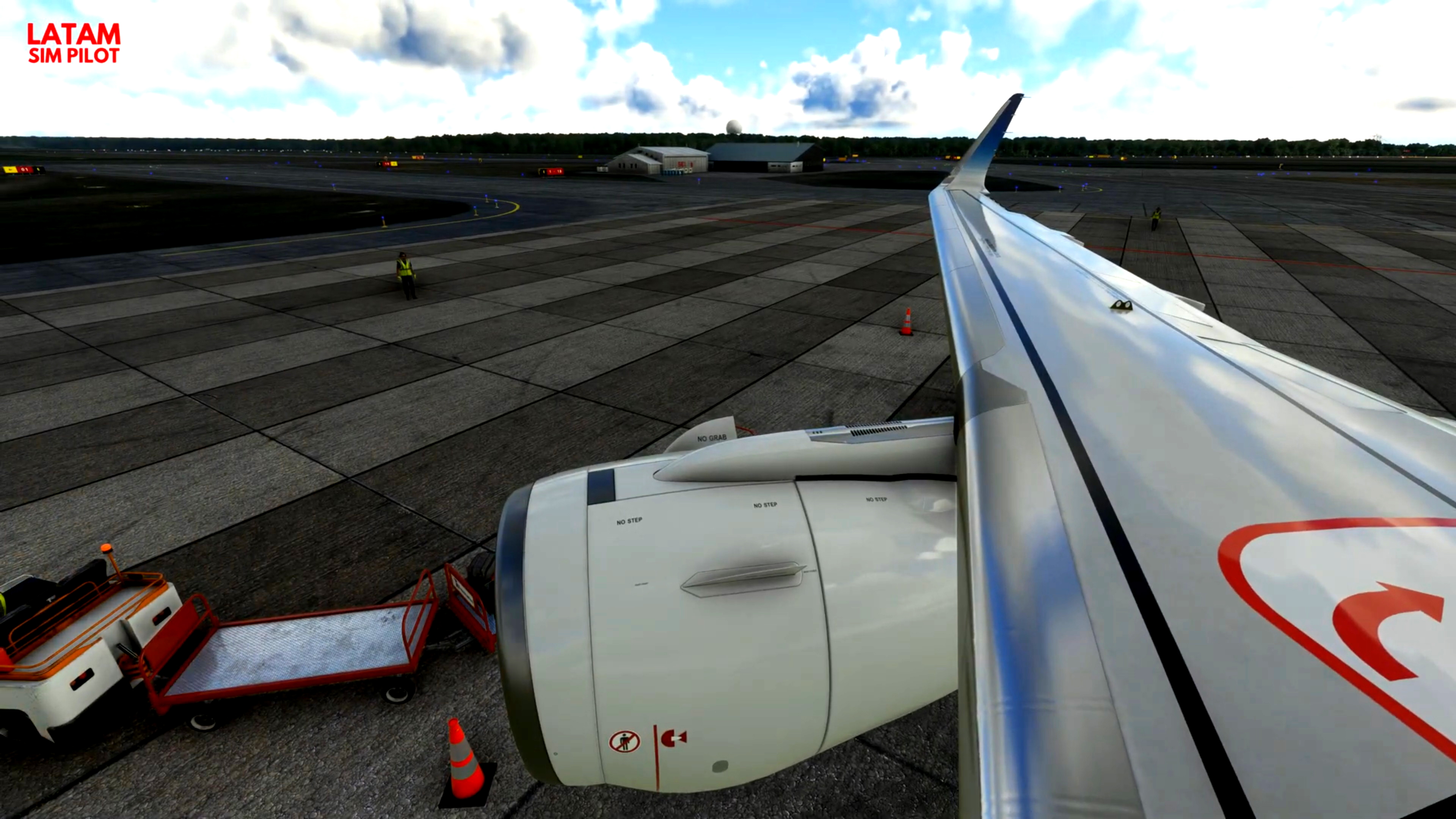 Custom Views Liveries for Microsoft Flight Simulator | MSFS | Flightsim.to