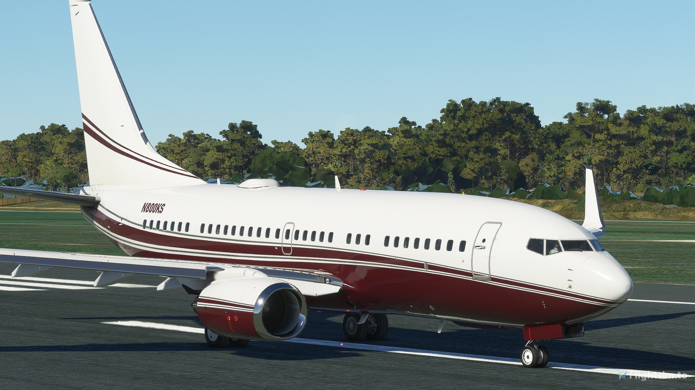 AEJ Services 737BBJ (N800KS) for Microsoft Flight Simulator | MSFS