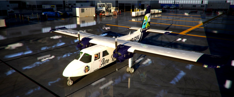 BN2 Islander Liveries for Microsoft Flight Simulator | MSFS | Flightsim.to