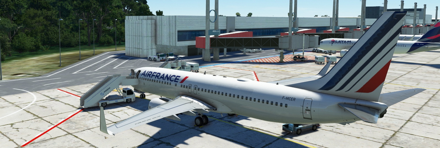 AIR FRANCE F-MCER for Microsoft Flight Simulator | MSFS
