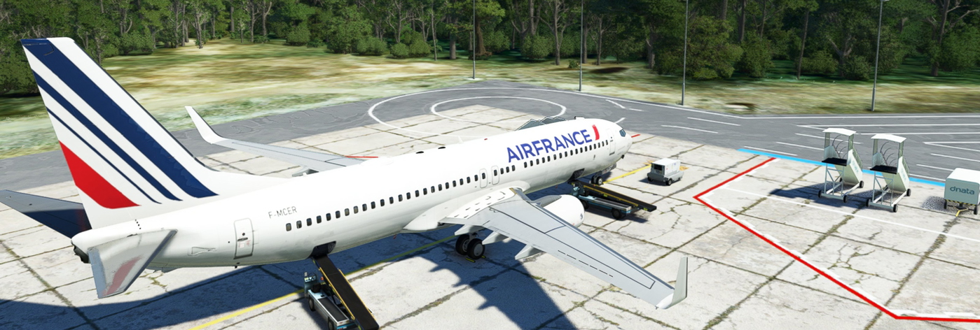 AIR FRANCE F-MCER for Microsoft Flight Simulator | MSFS