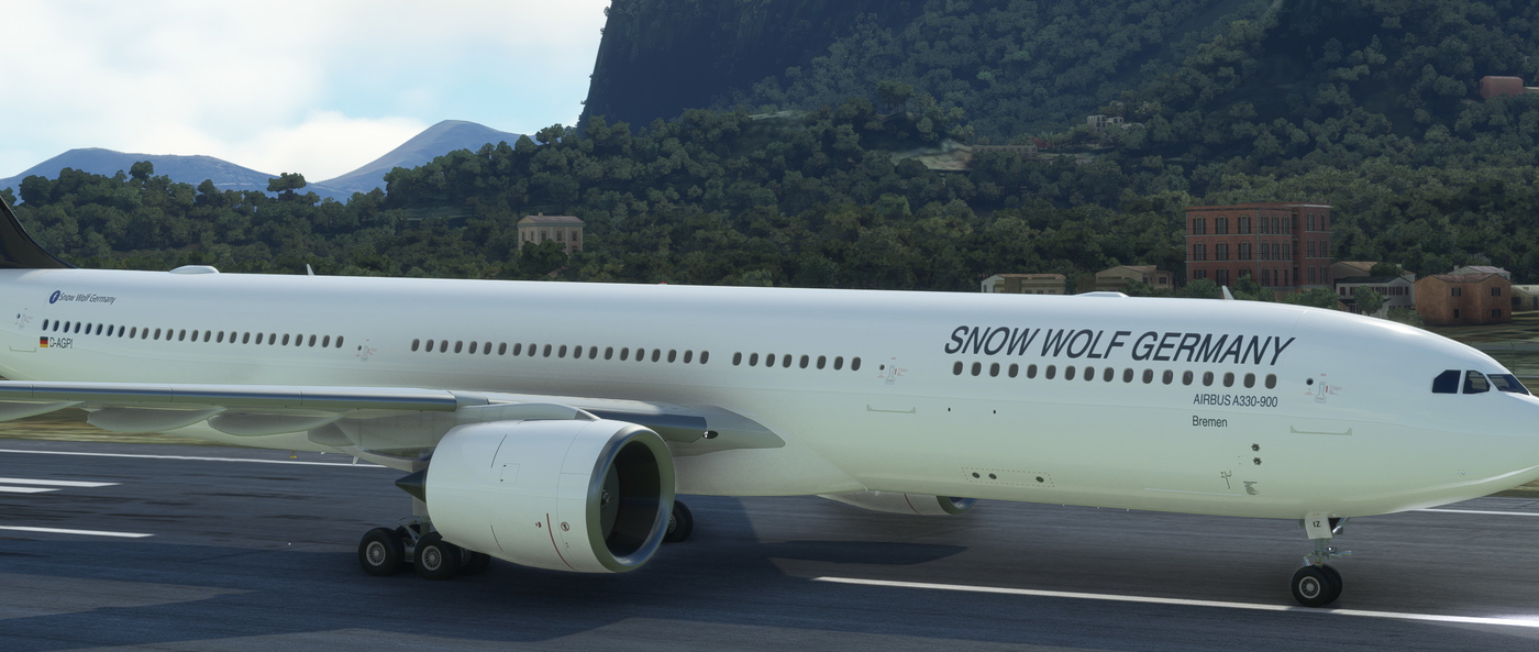Airbus A330-900 Snow Wolf Germany for Microsoft Flight Simulator | MSFS