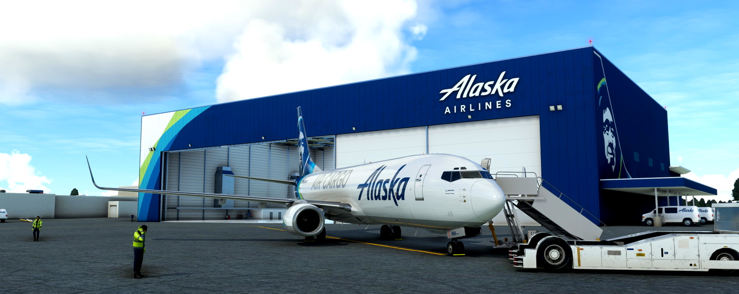 PMDG Boeing 737-800 Liveries for Microsoft Flight Simulator | MSFS ...